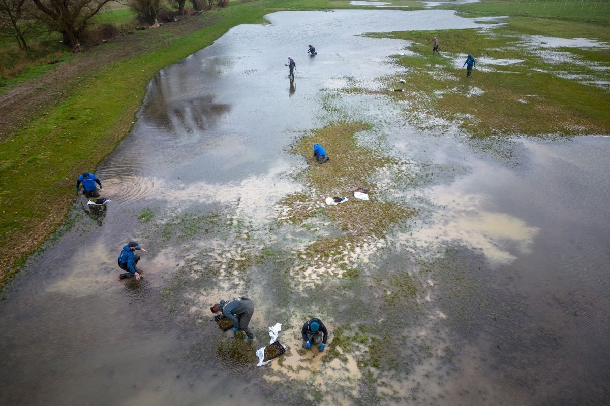 Water Stewardship in the Kennet Valley - Mainstreaming Nature-Based ...